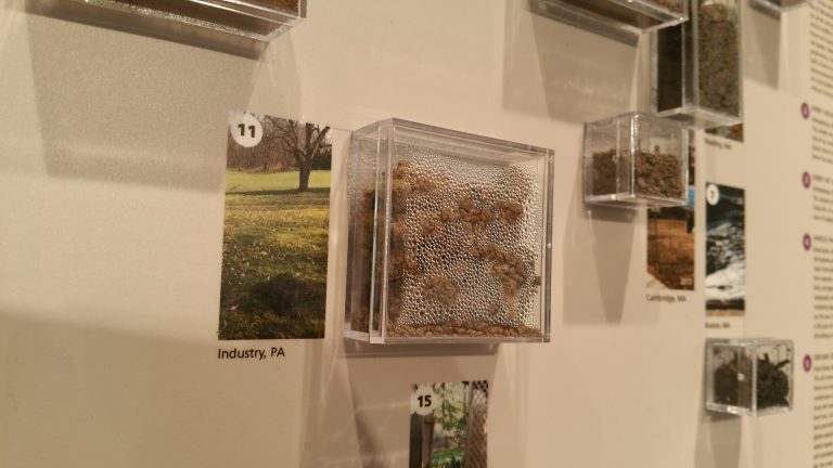 Thesis: Exhibition poster – Erica Gunn