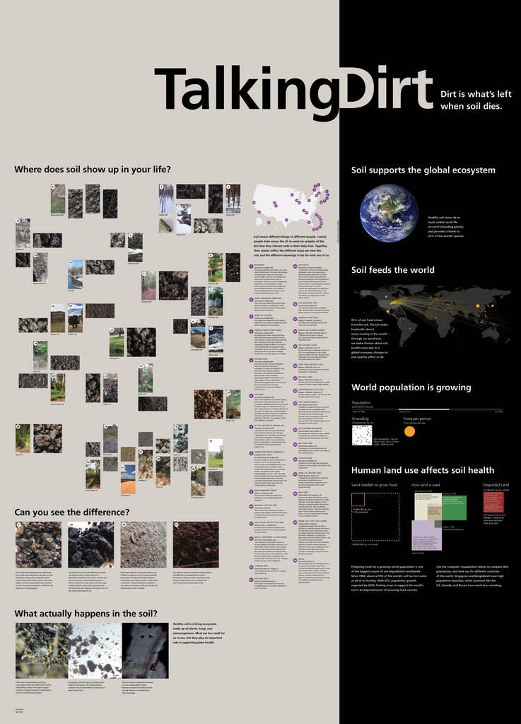 More Projects – Erica Gunn