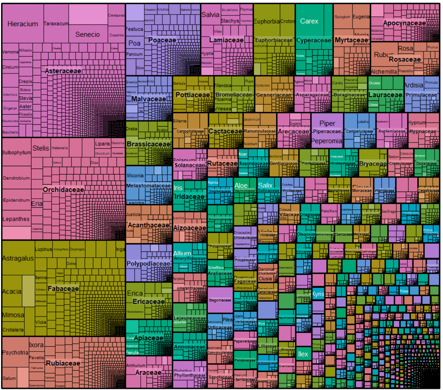 Understanding Plant Families – Erica Gunn